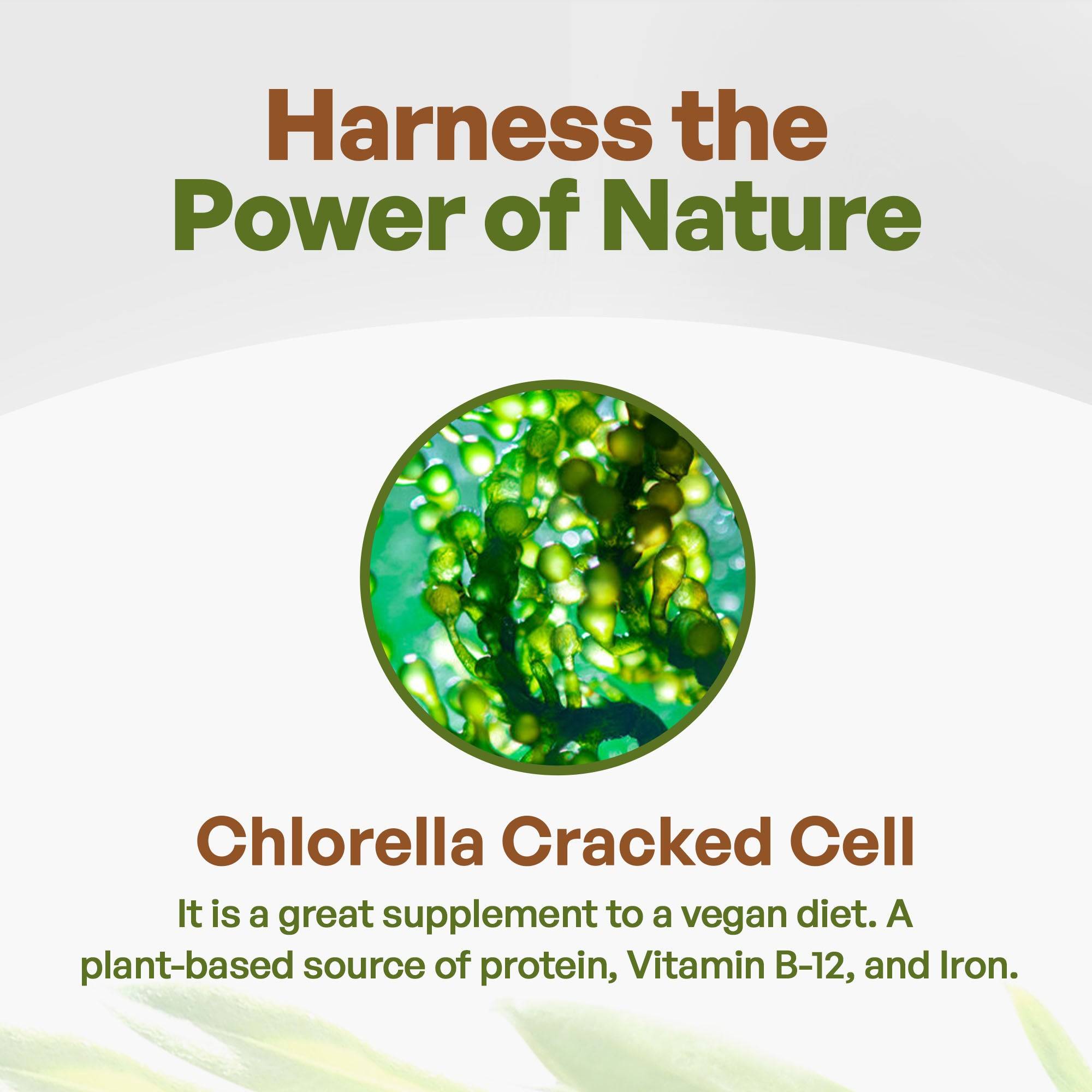 Get Deals and Low Prices On Chlorella On Go Nutra. – Go Nutra®