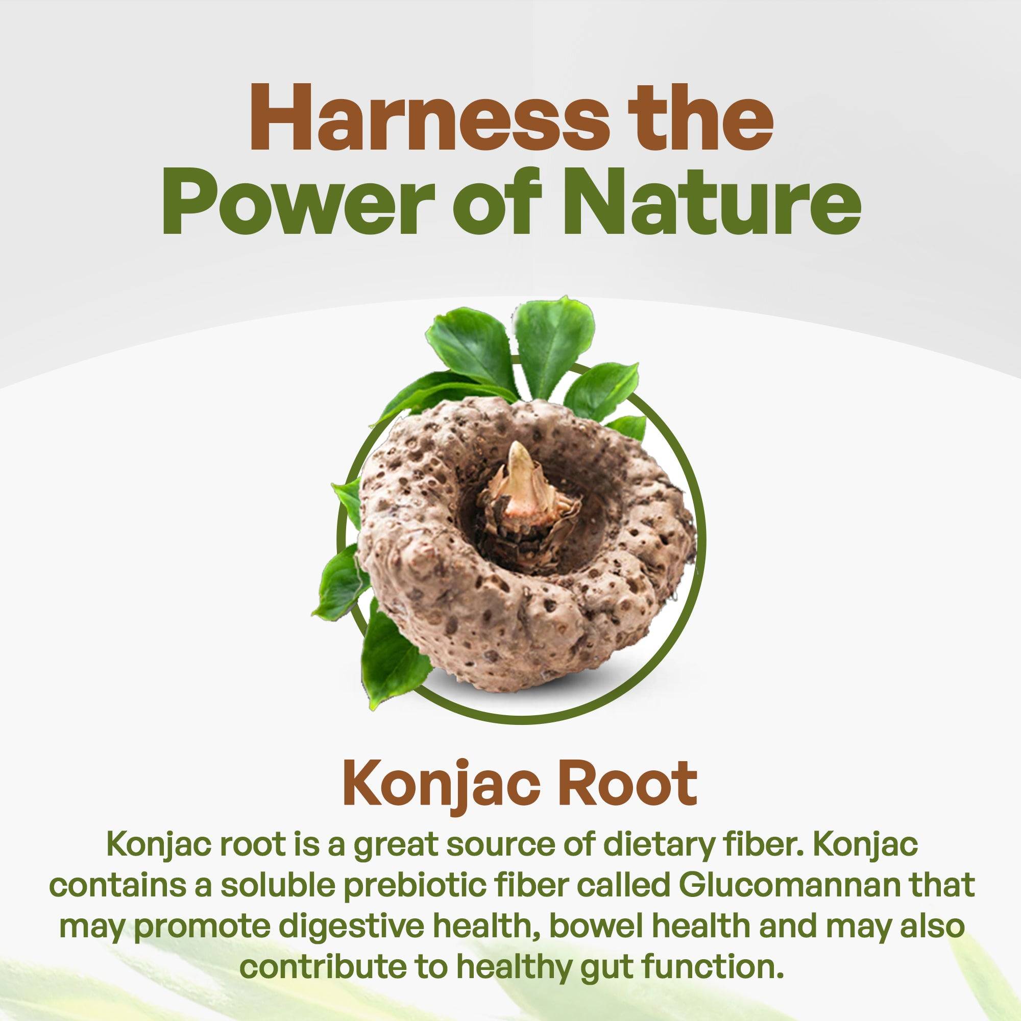Konjac Root Extract Powder Glucomannan - Fiber Supplement – Go Nutra